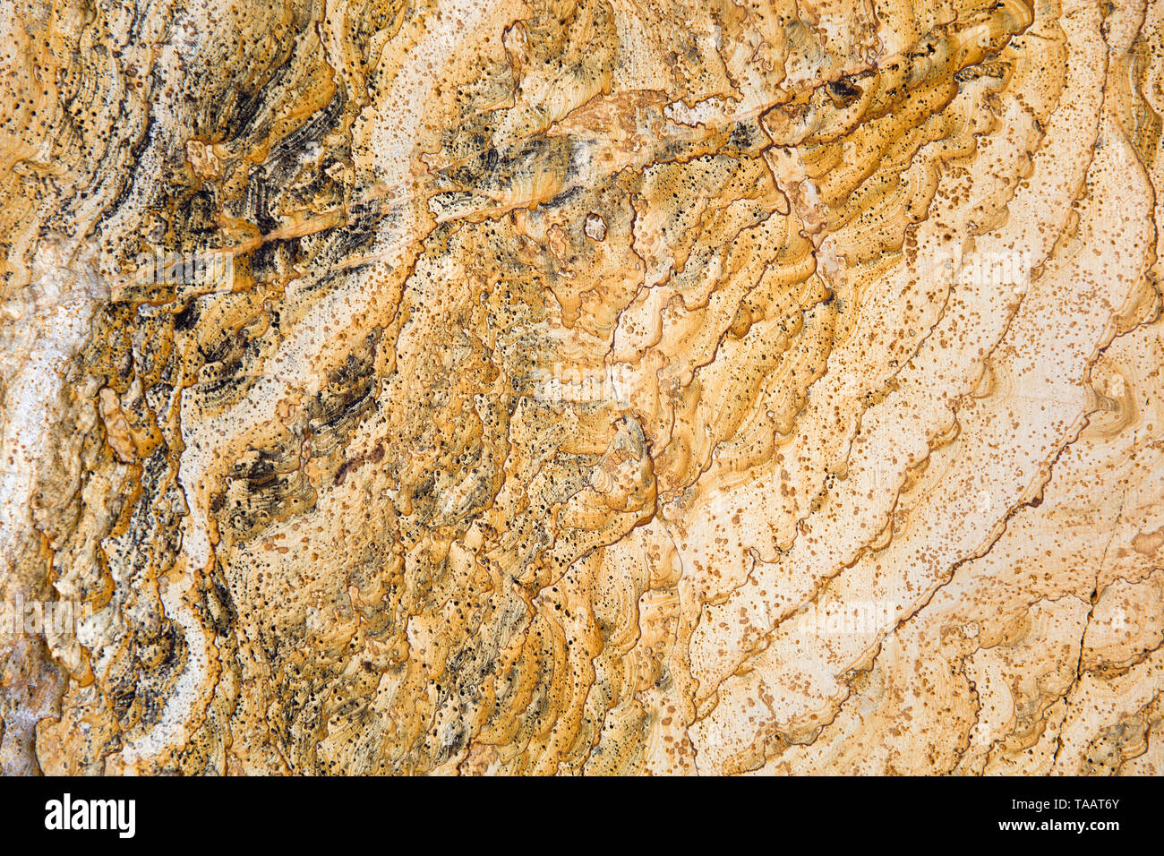 Closeup detail of the natural yellow marble texture background backdrop ...