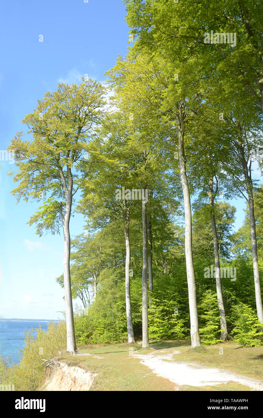 Viev hi-res stock photography and images - Alamy