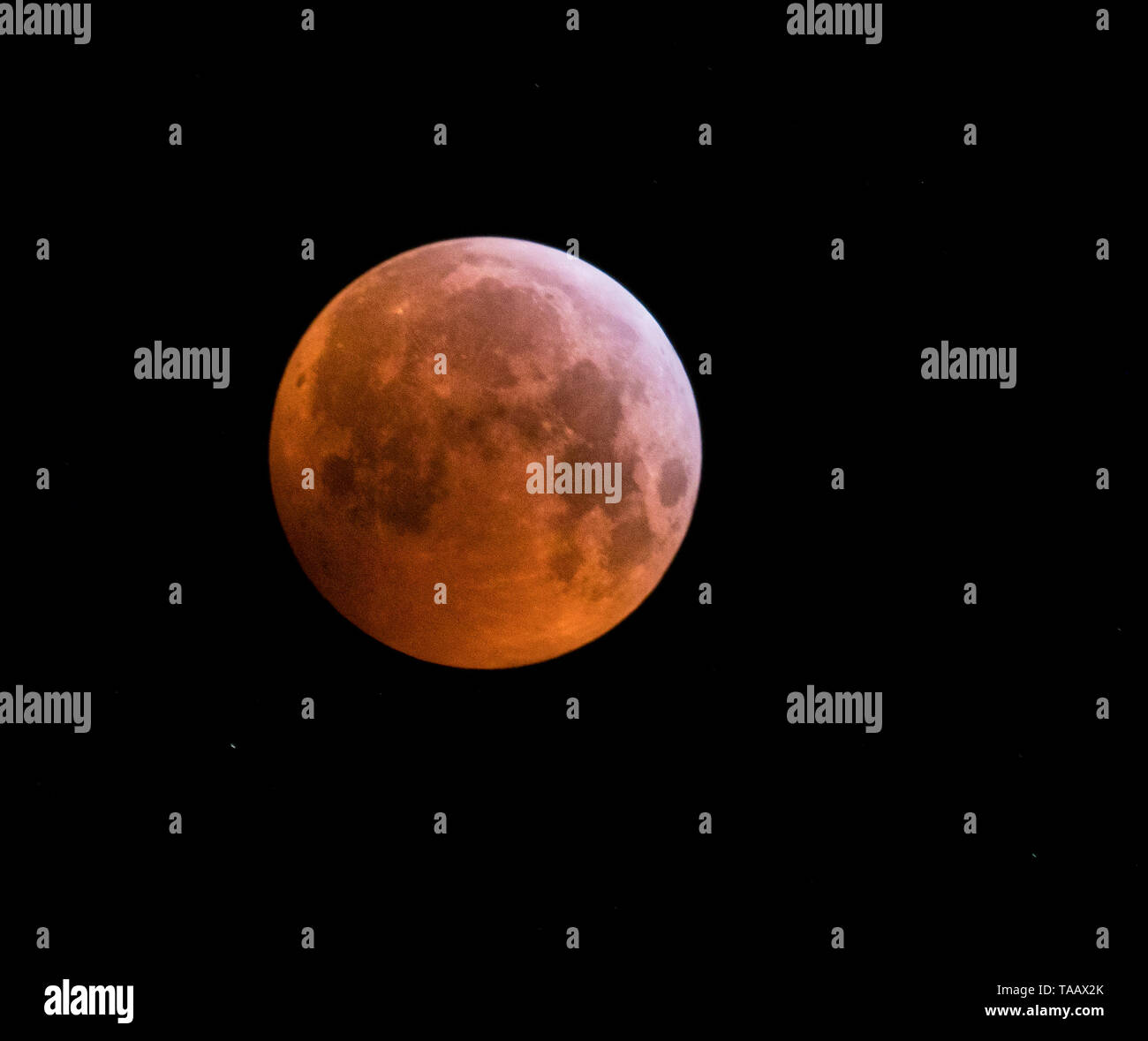 The "Blood Moon" of a total lunar eclipse Stock Photo - Alamy