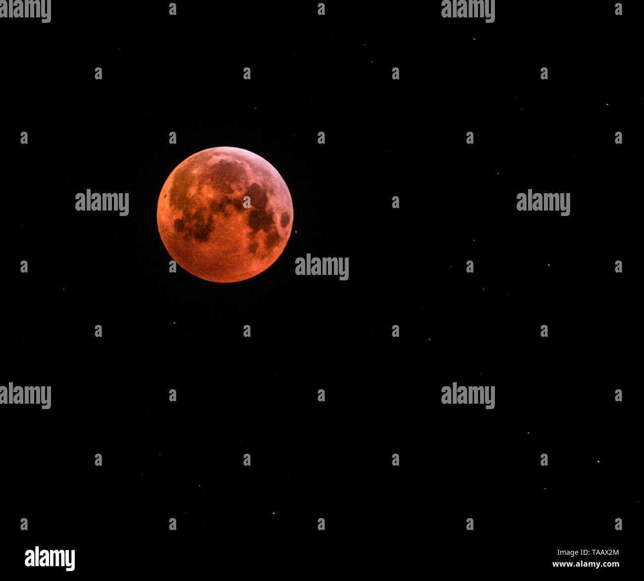 The "Blood Moon" of a total lunar eclipse Stock Photo - Alamy