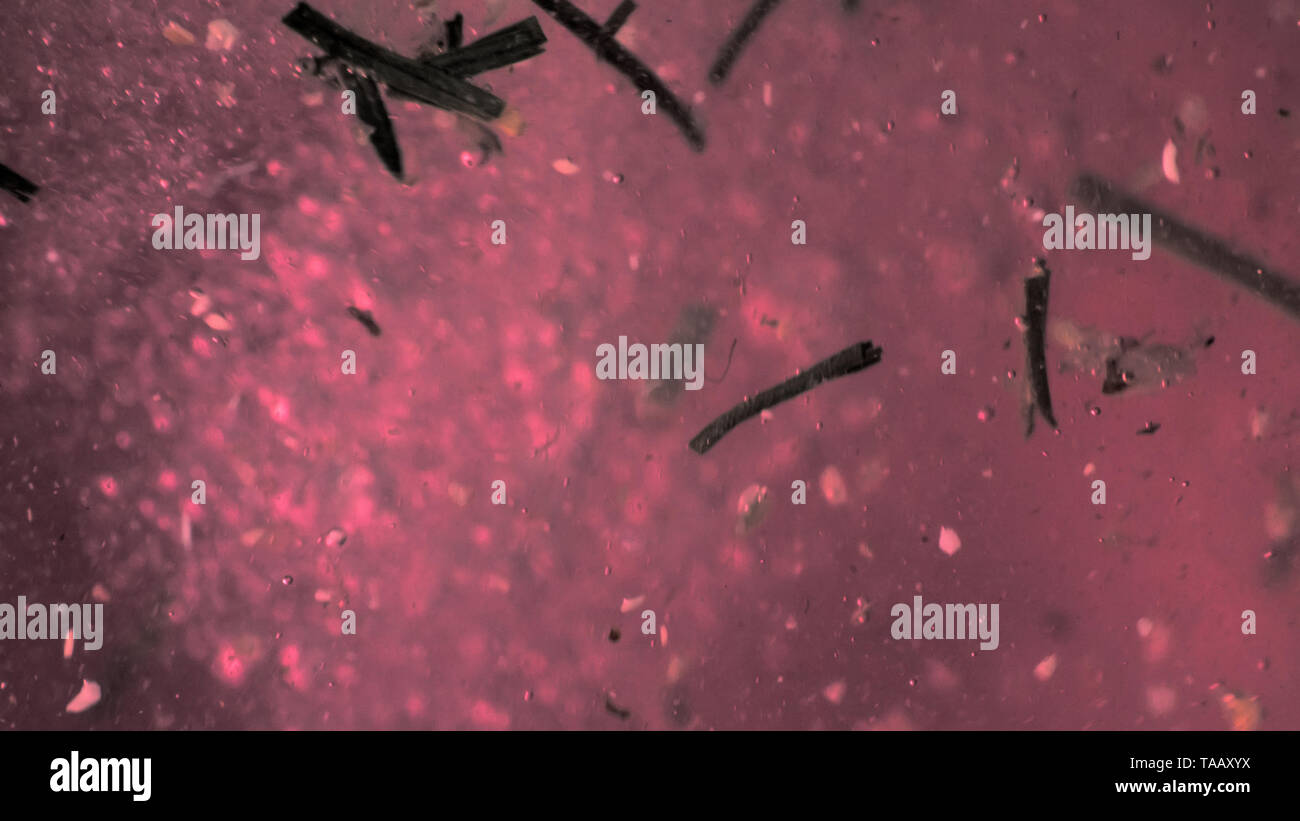 Bio ultra macro background. Look at organic objects under magnifier ...