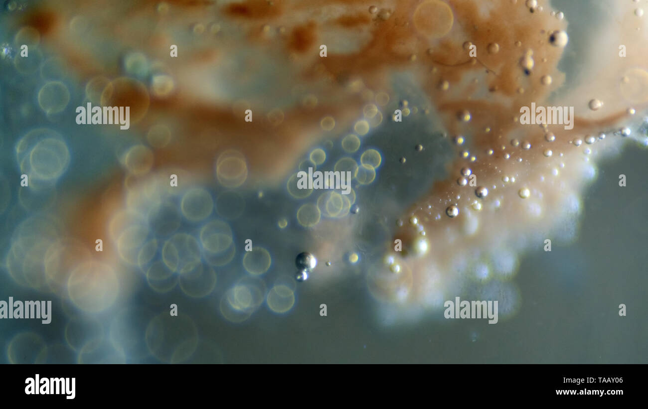 Aqua bio background with particles of plant origin ultra macro ...