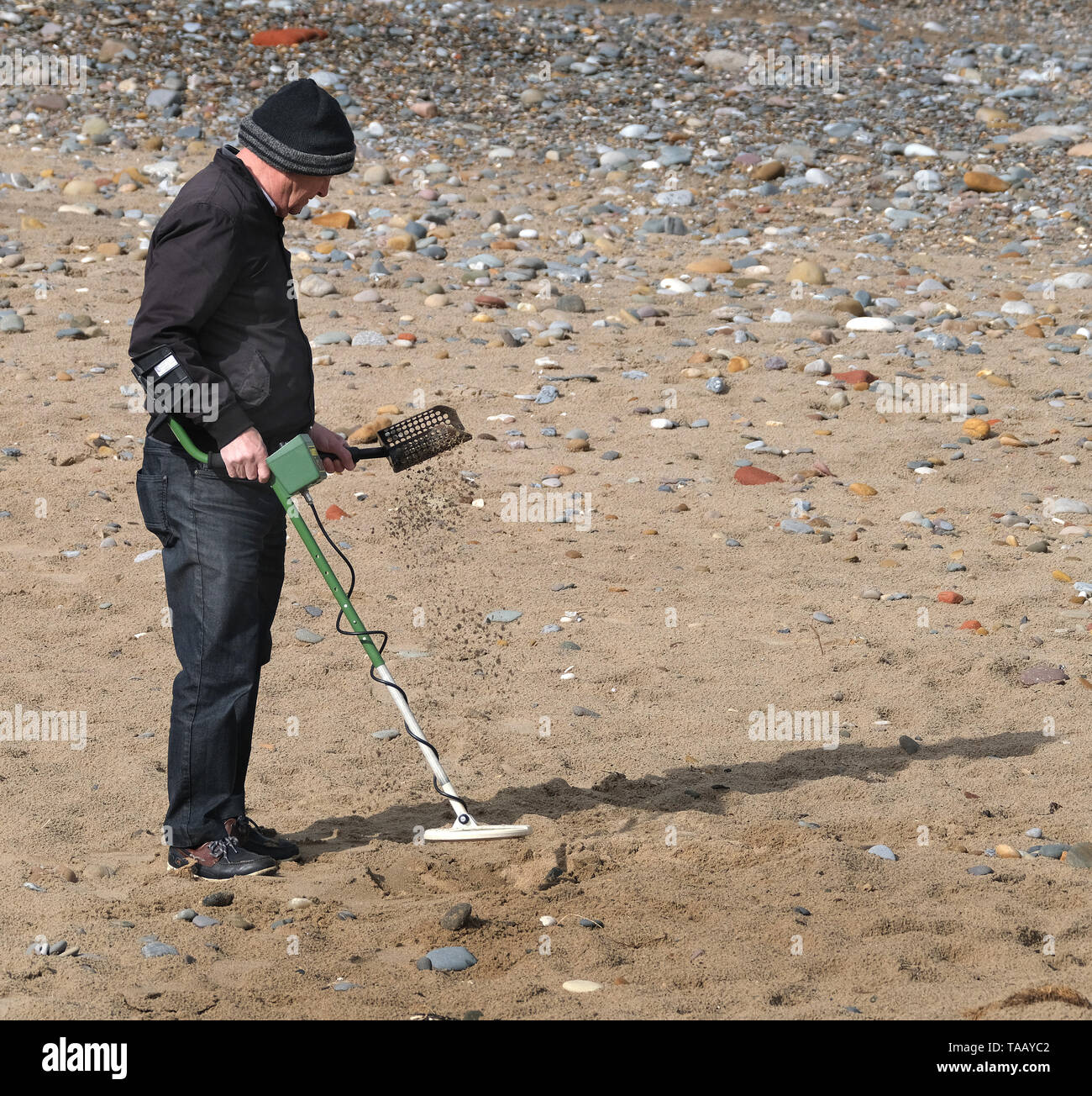 Man with metal detector on public seaside beach Stock Photo - Alamy