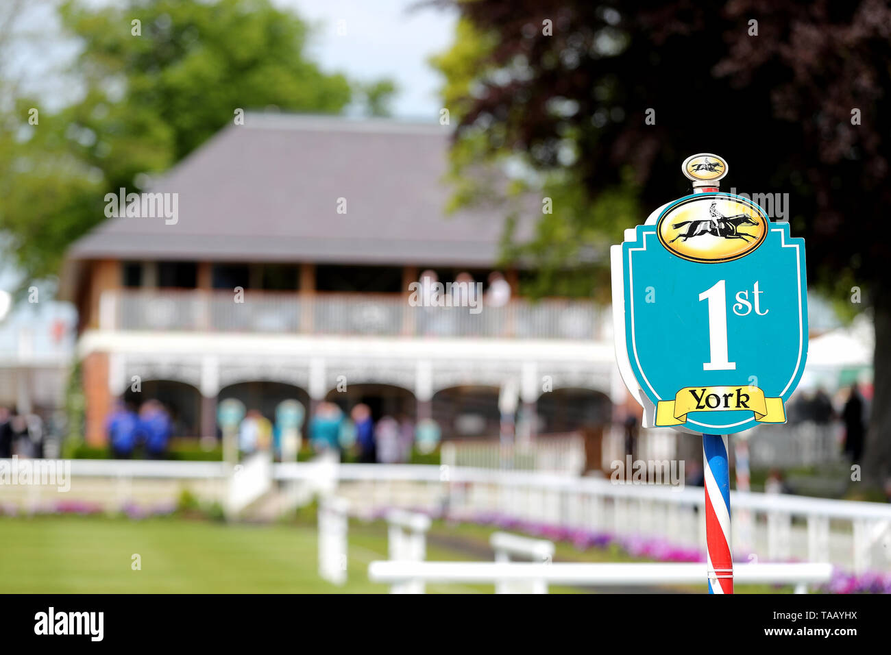 A detail view of York Racecourse signage Stock Photo - Alamy