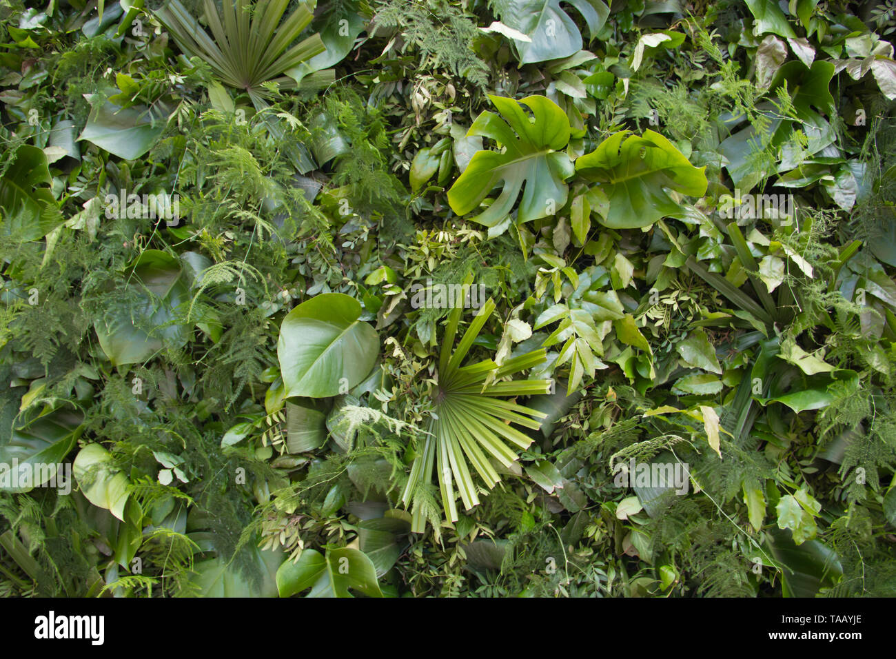 Environmental decoration hi-res stock photography and images - Alamy