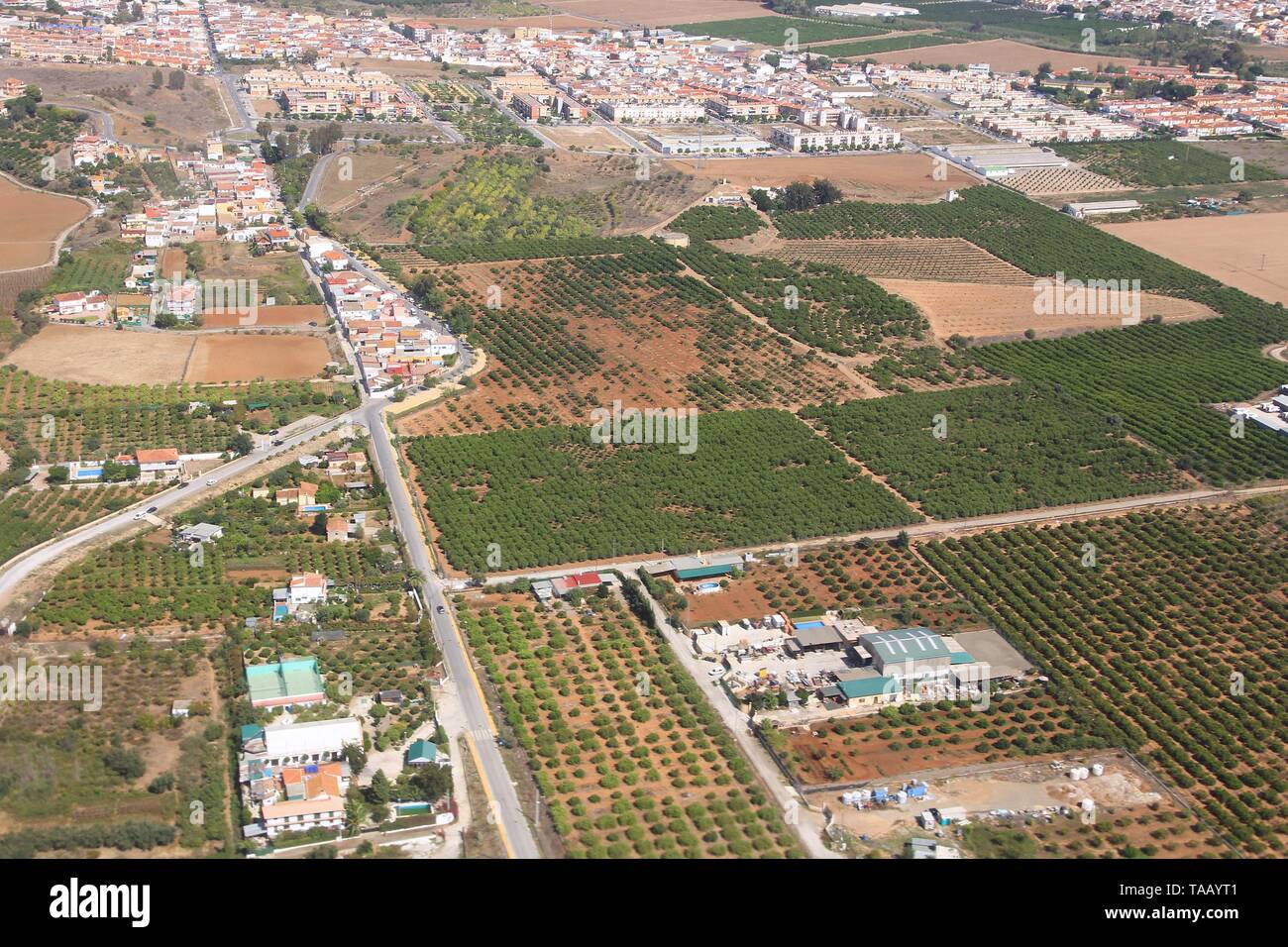 Agriculture in Spain - rural area of Malaga, Andalusia. Orange orchards ...