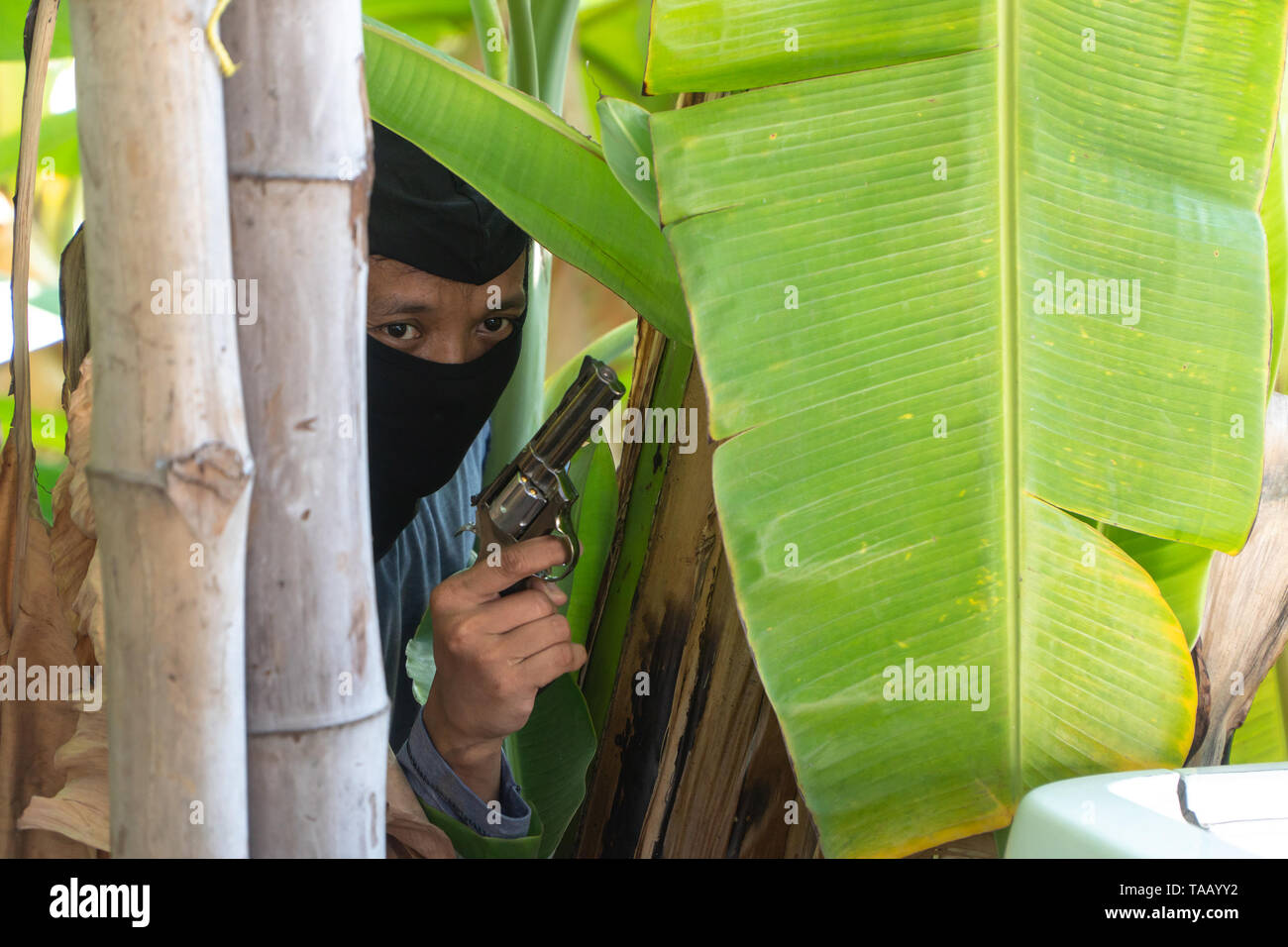 Dark man behind tree hi-res stock photography and images - Alamy