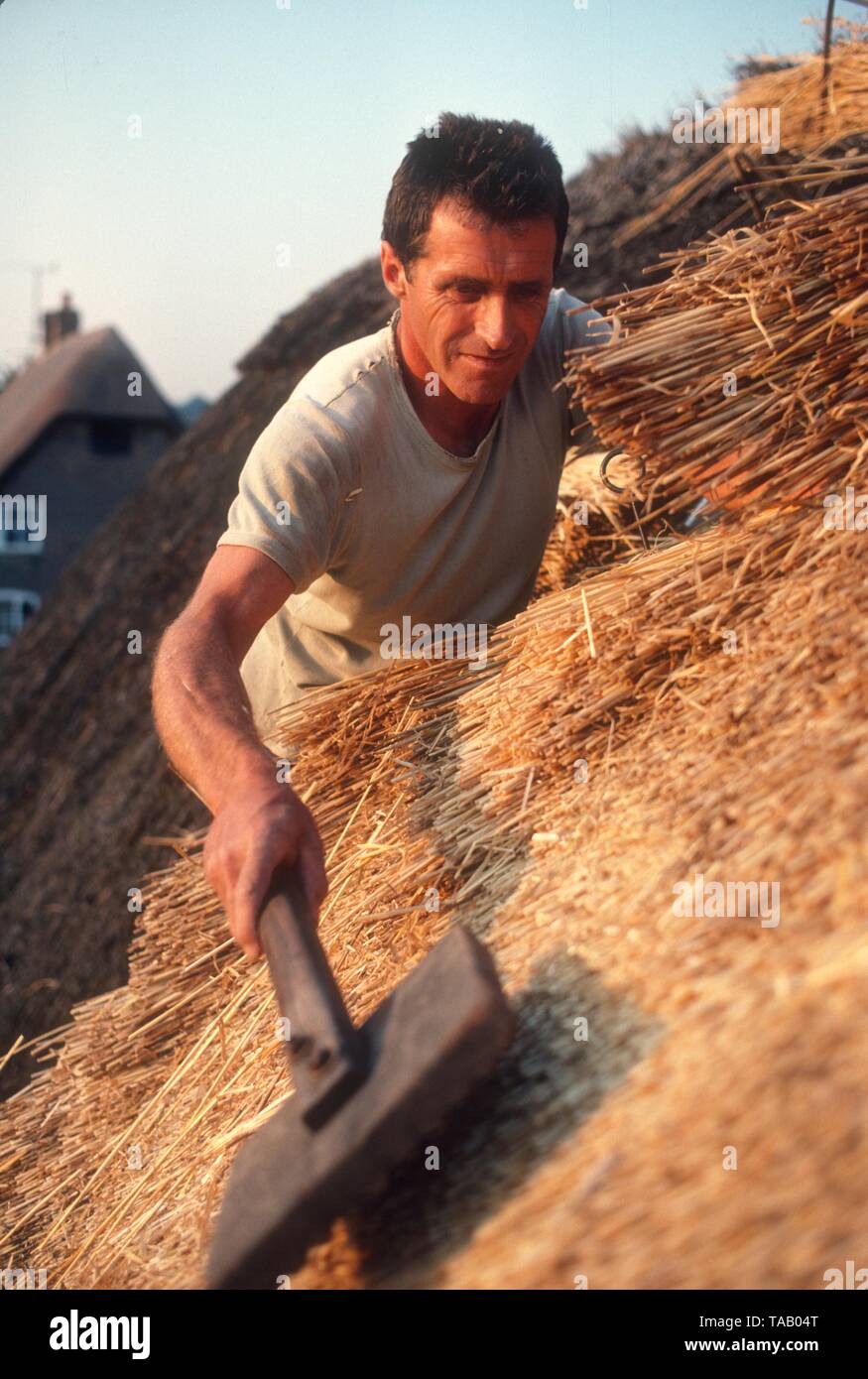Thatcher working on roof using a legget, UK Stock Photo - Alamy