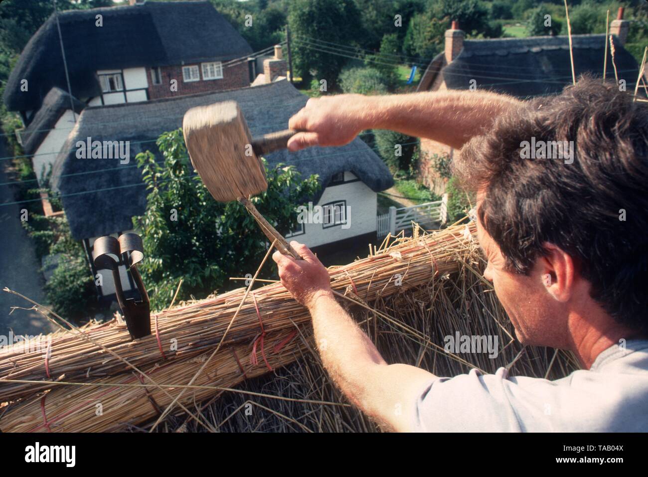 Thatcher working on roof, UK Stock Photo - Alamy