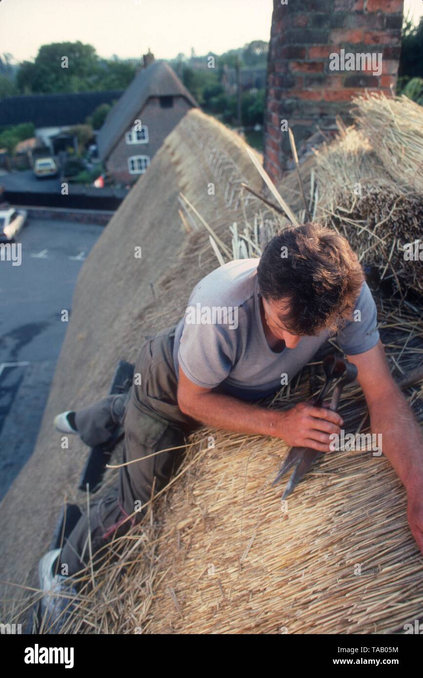 Working From Hanging Ladder High Resolution Stock Photography and ...