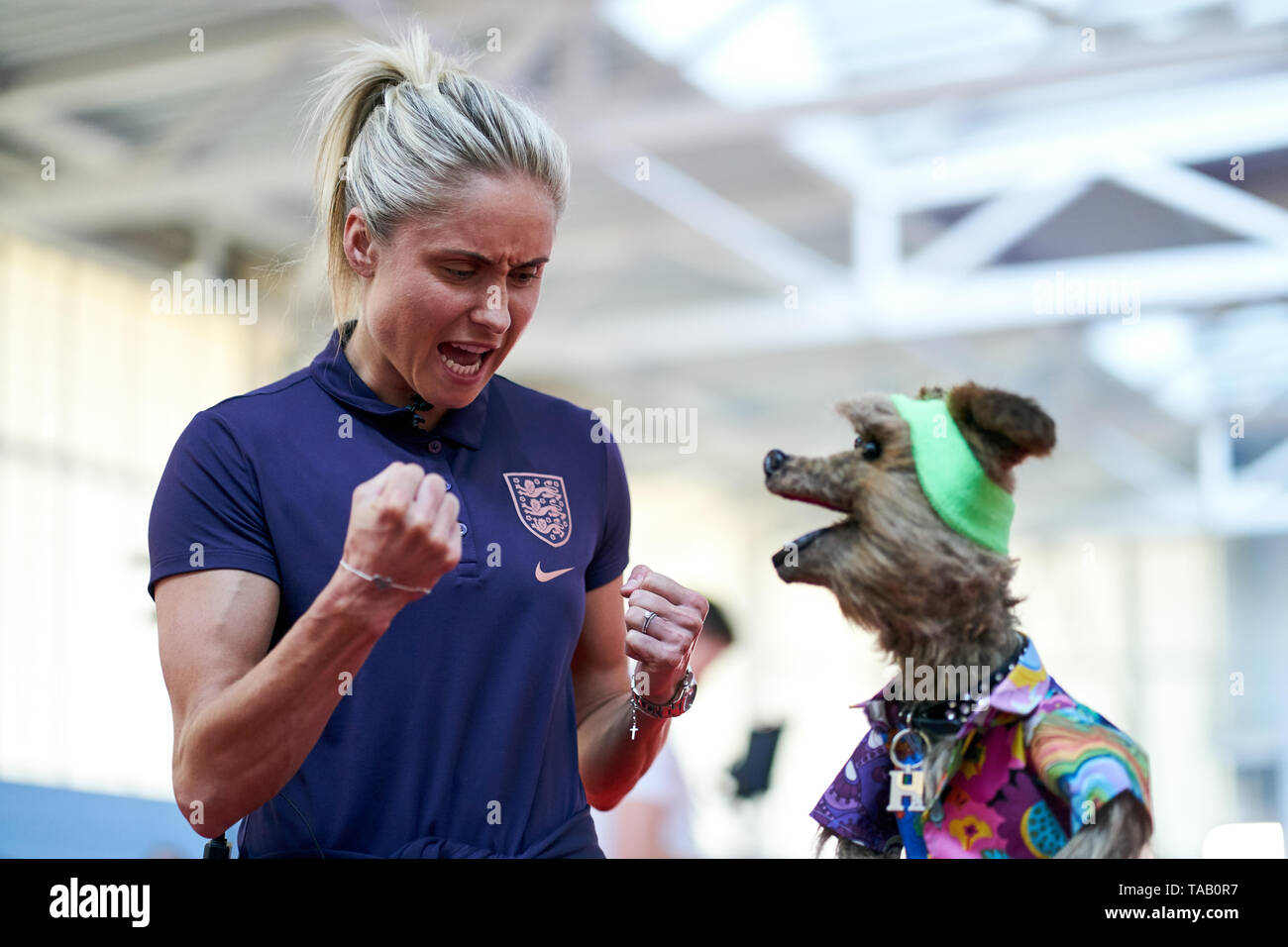 Hacker t dog hi-res stock photography and images - Alamy