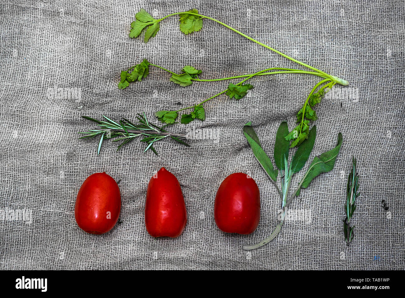 Bunches of spices and vegetables, on a gray linen background. Rosemary ...
