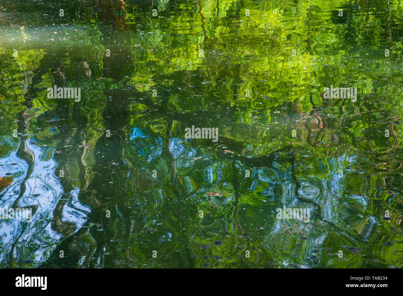 Reflections on water Stock Photo - Alamy
