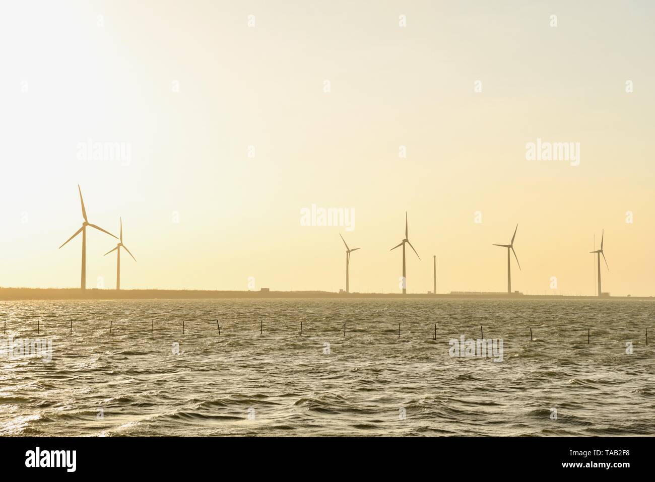 Beautiful View of Wind Turbines at Gaomei Wetlands in Taiwan Stock ...