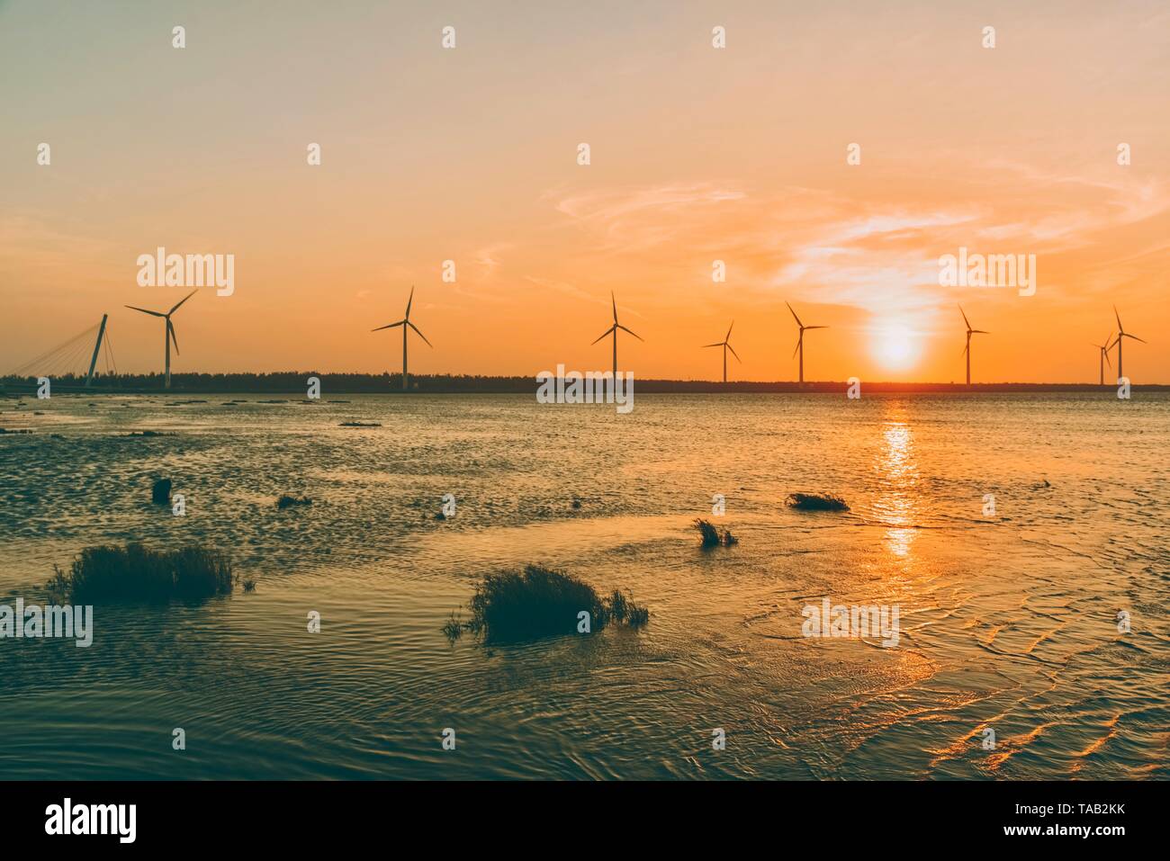 Industrial Wind Turbines at Gaomei Wetlands During Sunset Stock Photo ...