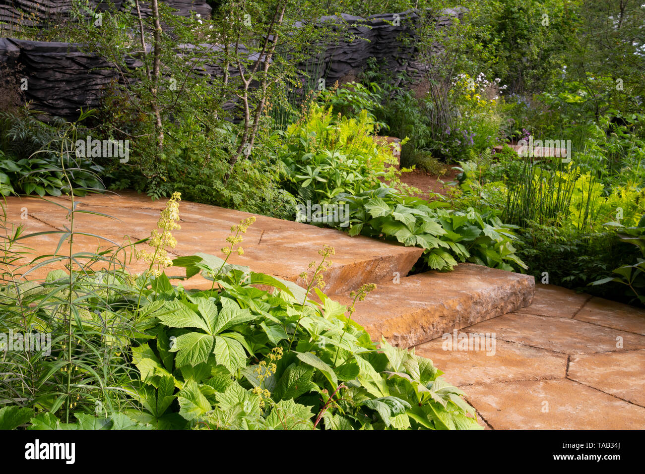 Stone steps through greenery in the M & G Garden designed by Andy ...