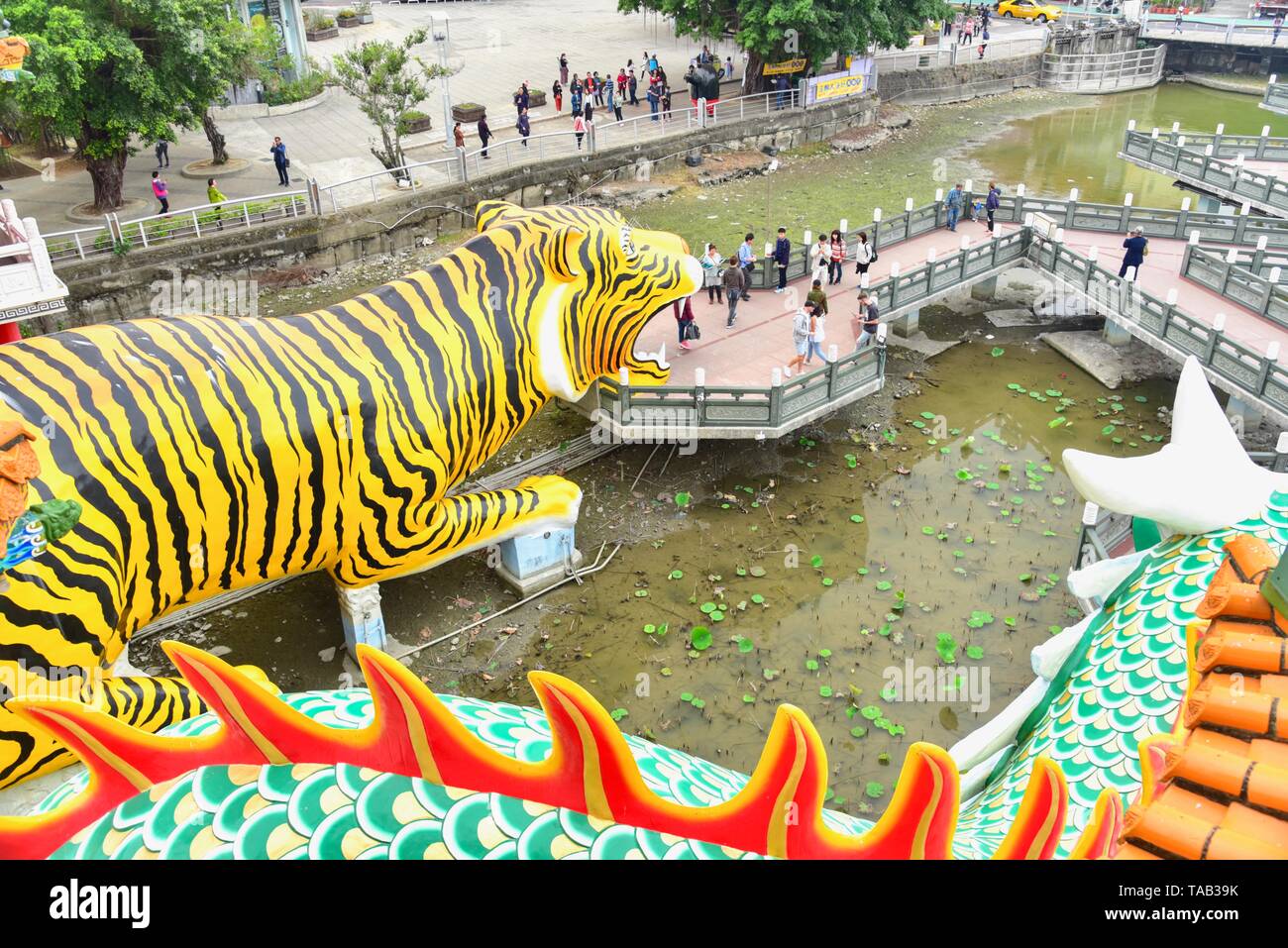 Tiger top view hi-res stock photography and images - Alamy