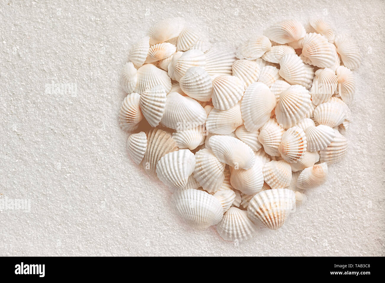 Sea shells in form hi-res stock photography and images - Alamy