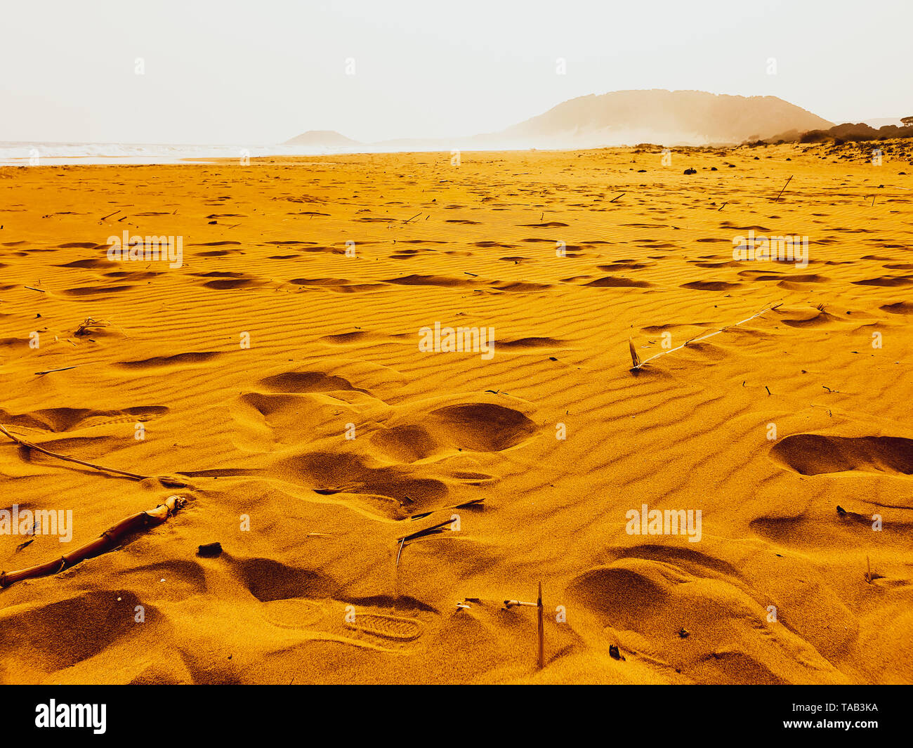 Low angle view of the beautiful sandy Golden Beach in Karpasia ...