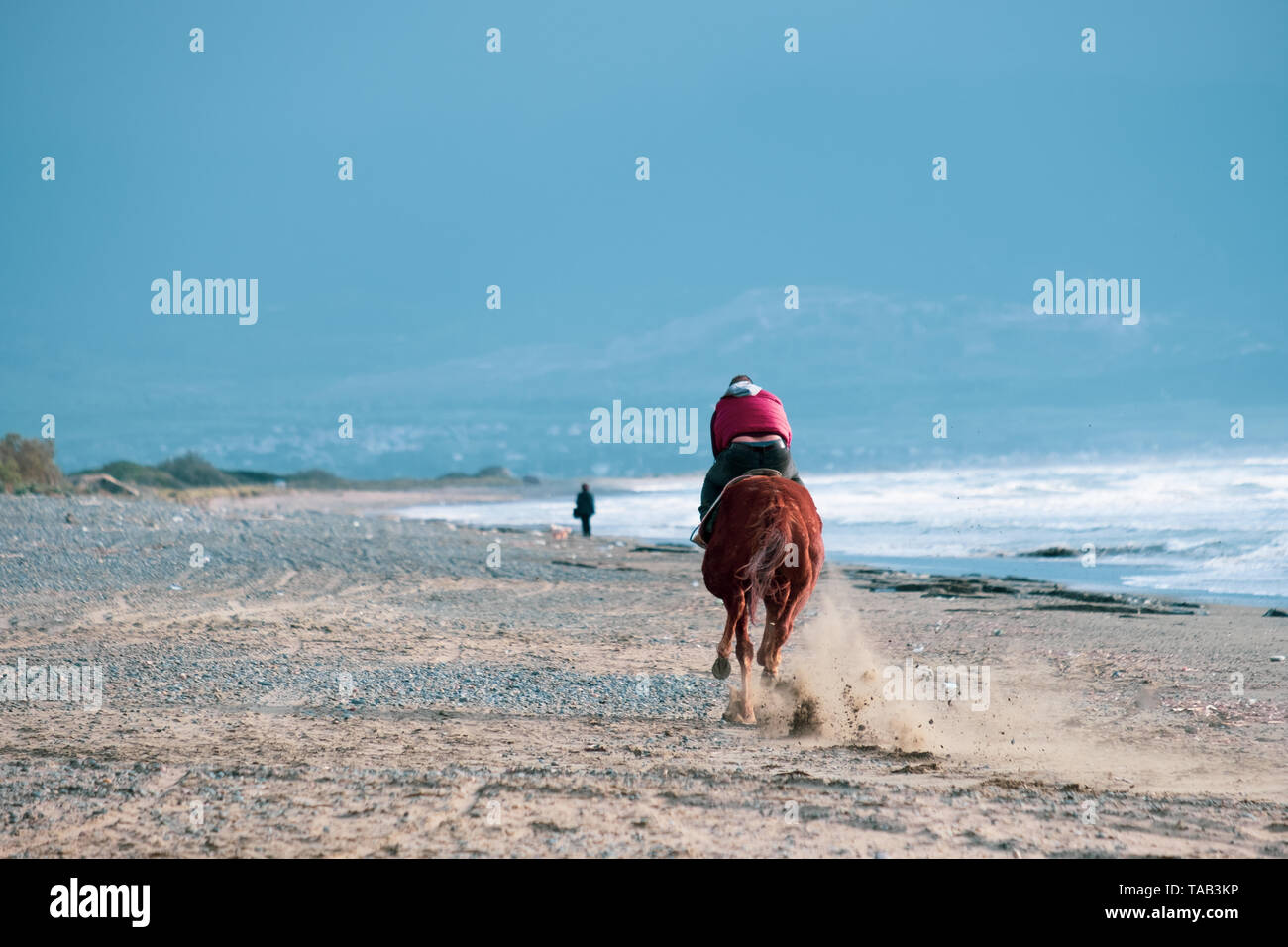 Galloping on a beach hi-res stock photography and images - Alamy