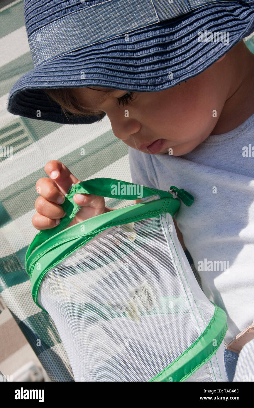Young boy looking at bugs hi-res stock photography and images - Alamy