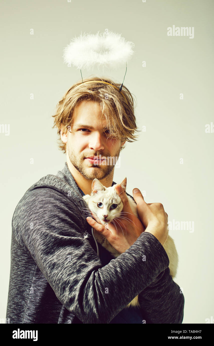 cat and man with angel halo on head holding cat Stock Photo - Alamy