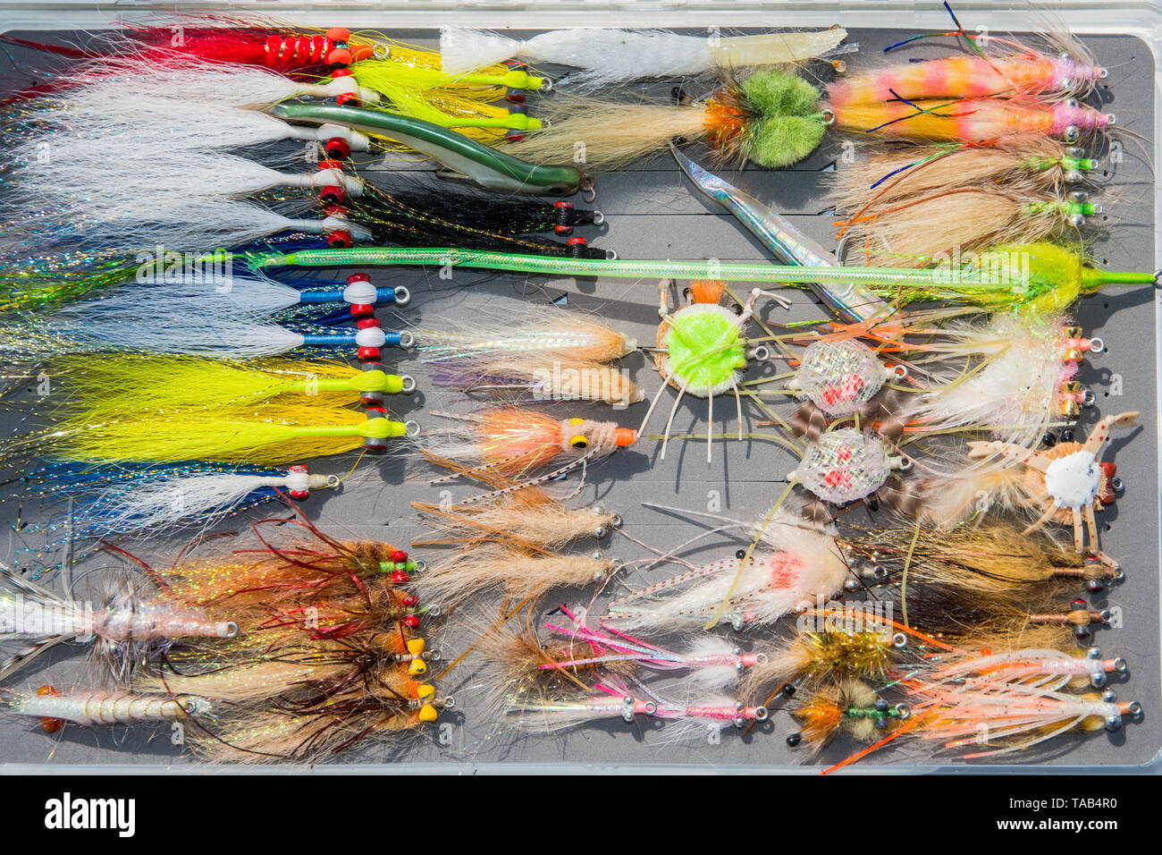 Saltwater fly fishing different fly fishing bugs in box Stock Photo - Alamy