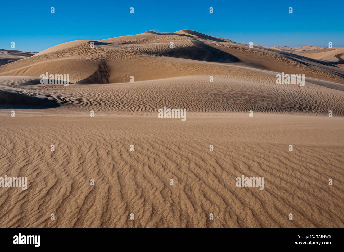 Dunes of the namib desert of Namibia Stock Photo - Alamy