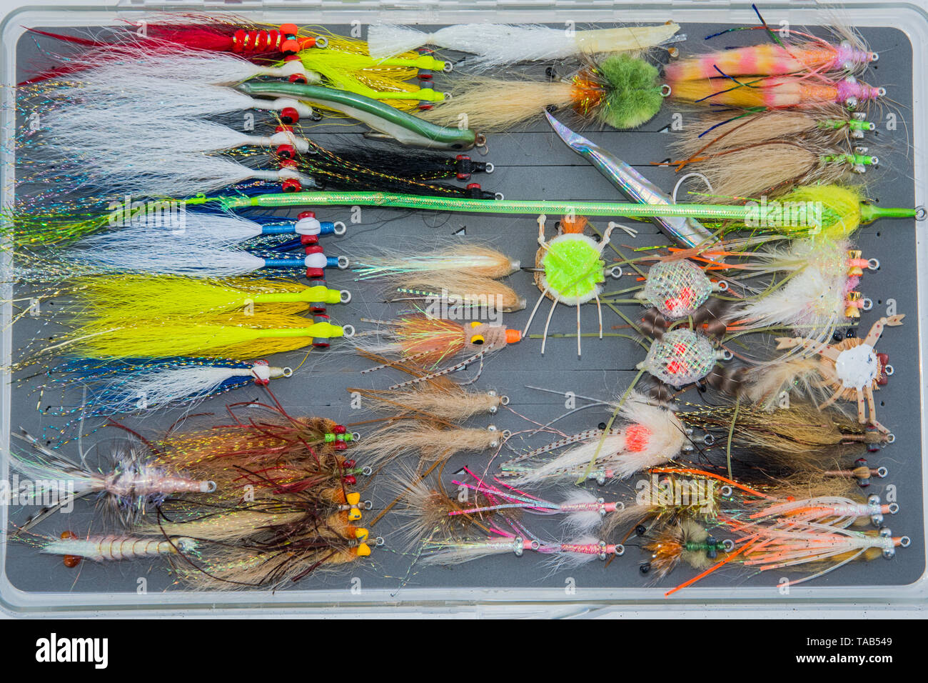 Saltwater fly fishing different fly fishing bugs in box Stock Photo - Alamy