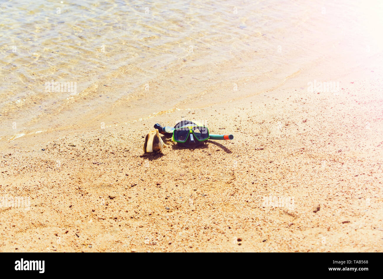 Diving mask with snorkel and marine shell on sandy beach Stock Photo ...