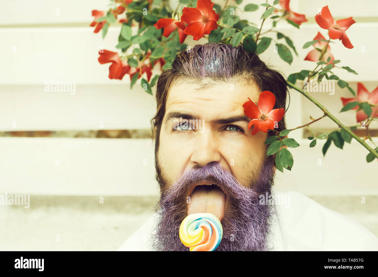 bearded man with blue beard and lollipop Stock Photo - Alamy