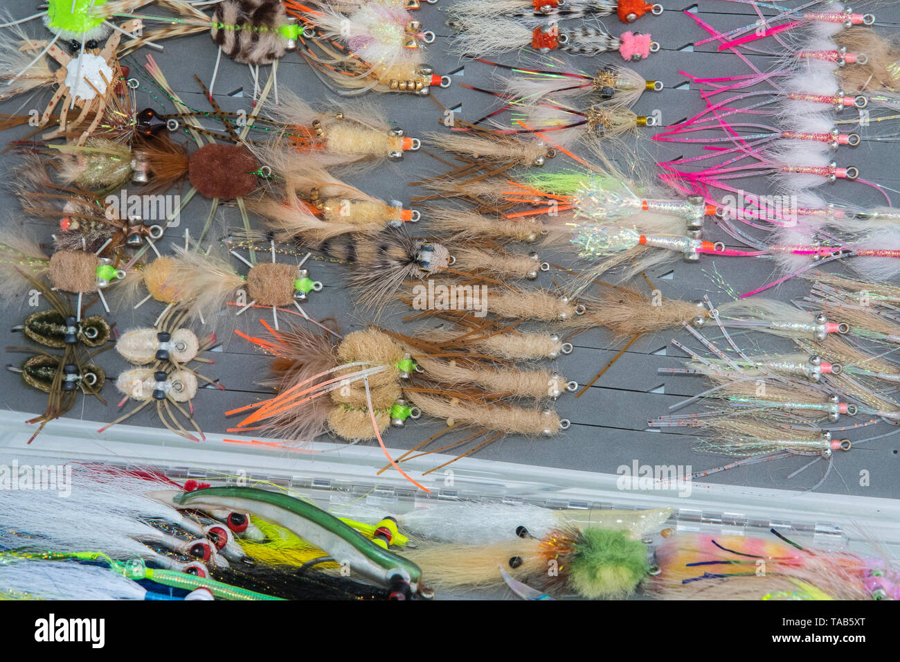 Saltwater fly fishing different fly fishing bugs in box Stock Photo - Alamy