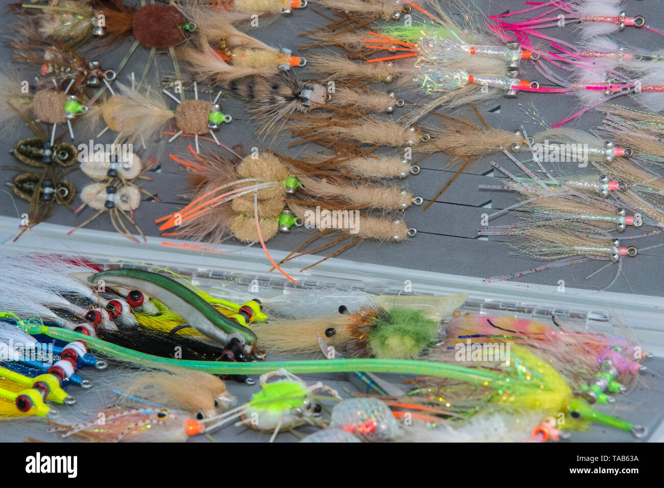 Saltwater fly fishing different fly fishing bugs in box Stock Photo - Alamy