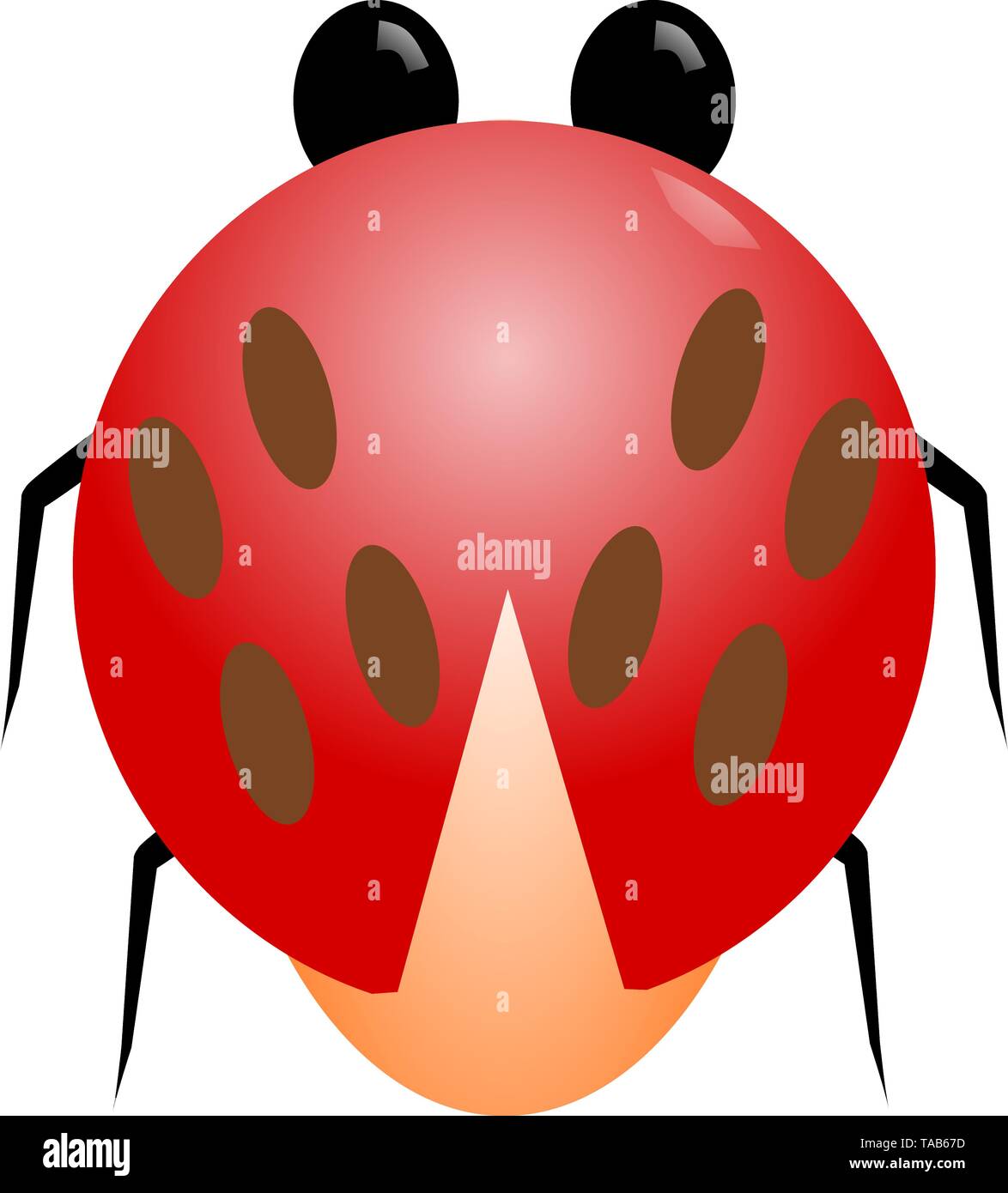 vector illustration of ladybug or lady bird Stock Vector Image & Art ...