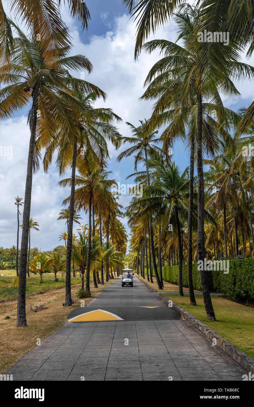 Mustique Island is an exclusive, paradise, getaway and Caribbean ...