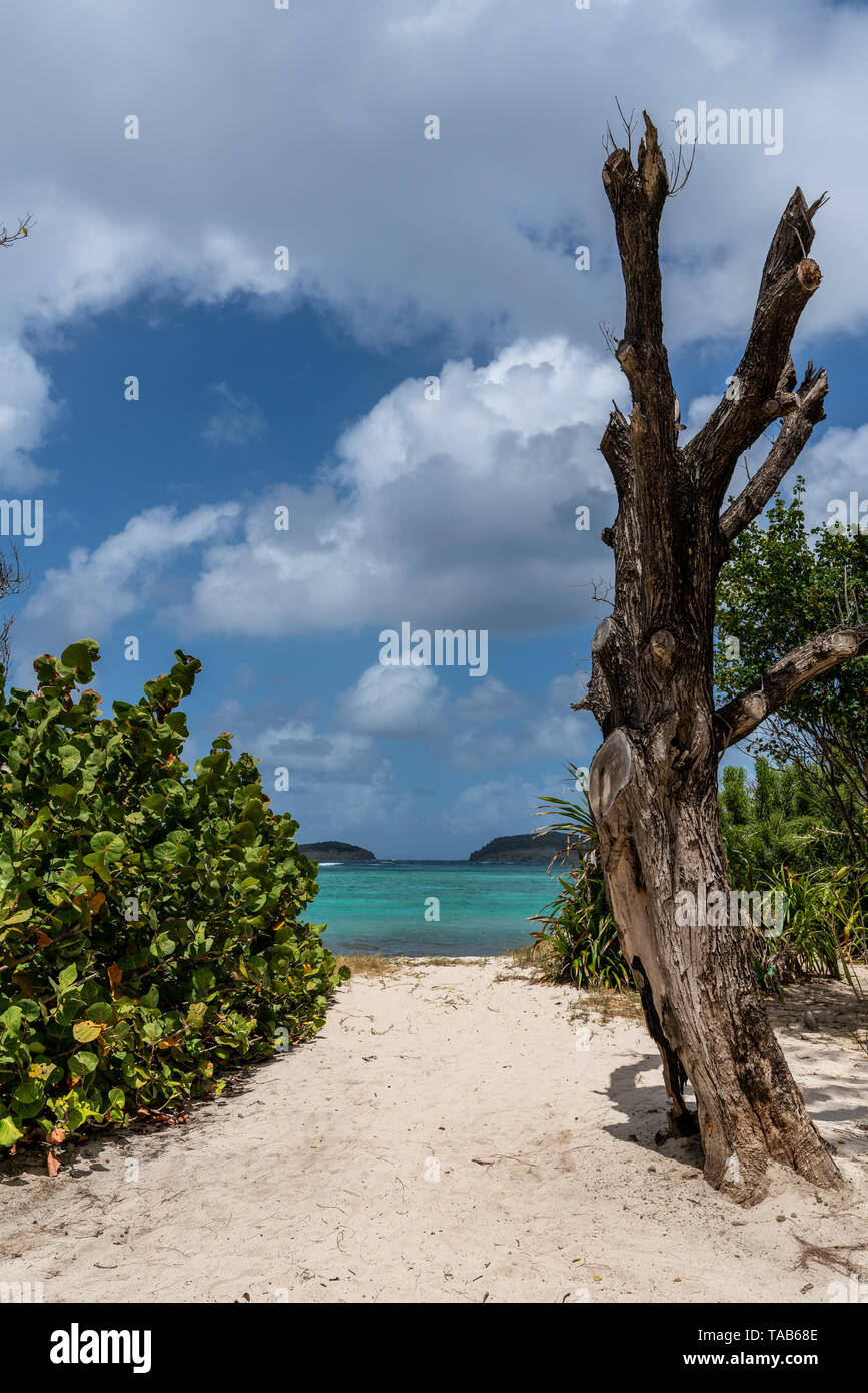 Mustique Island is an exclusive, paradise, getaway and Caribbean ...