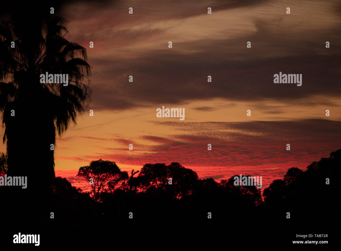 Evening sky and sunset northern Perth suburb Beldon, Western Australia ...