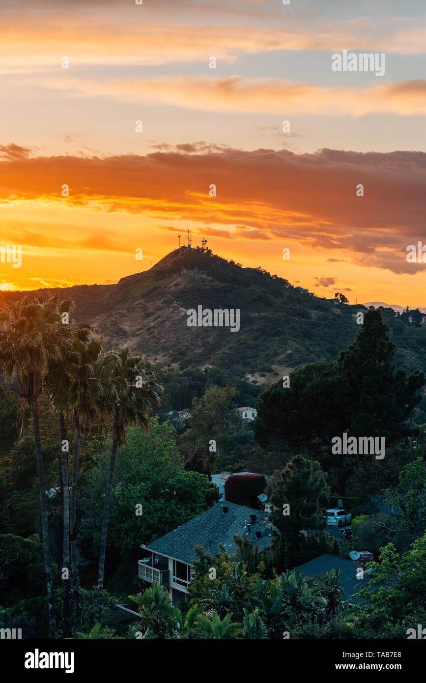 Sunset at Runyon Canyon Park, in Los Angeles, California Stock Photo ...