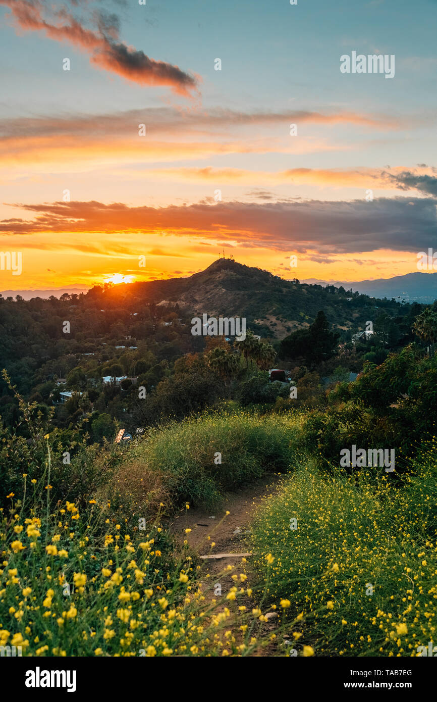 Runyon canyon park hi-res stock photography and images - Alamy