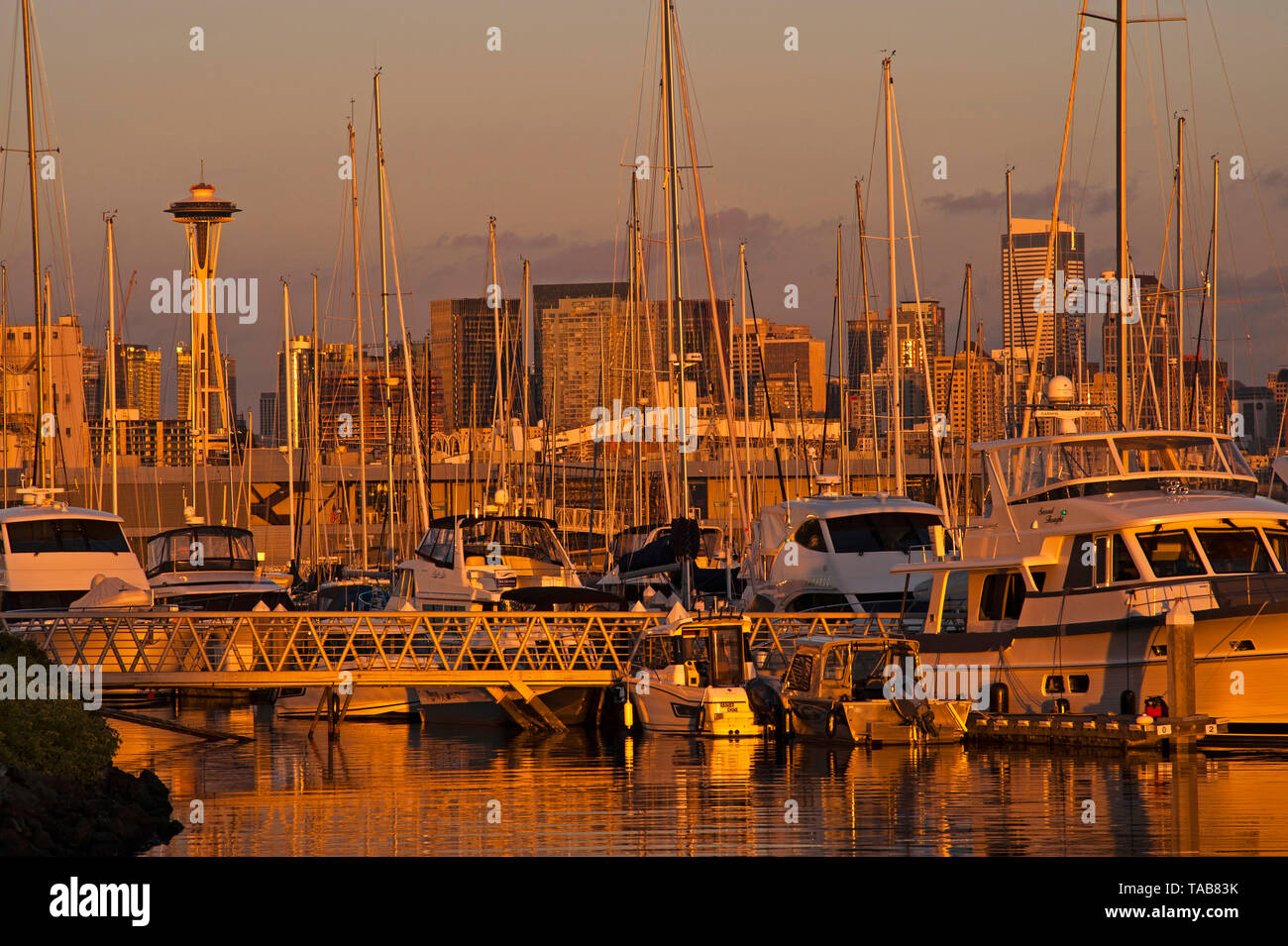 Retro images of Seattle skyline at Elliott Bay marina with boats moored ...