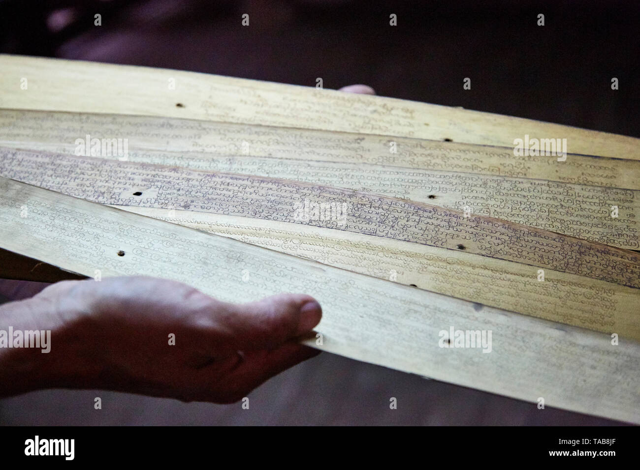 Writing reeds hi-res stock photography and images - Alamy