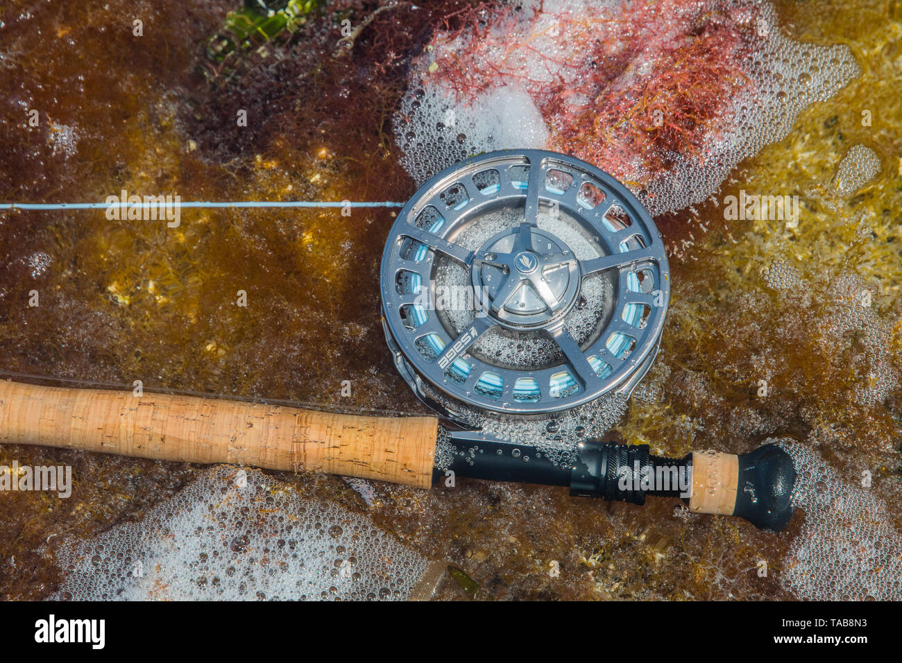 Fly fishing caribbean hi-res stock photography and images - Alamy