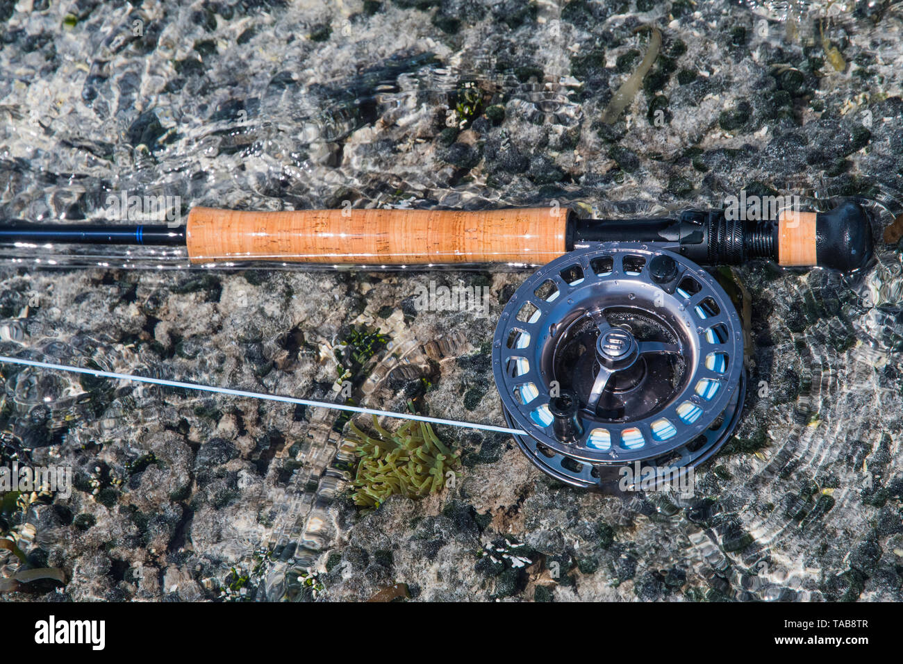 Flying rod hi-res stock photography and images - Alamy