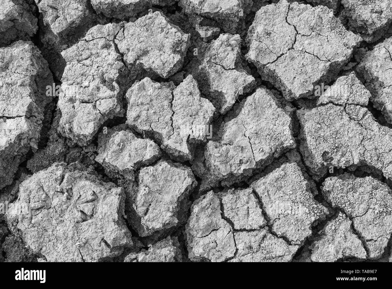 Soil Black And White