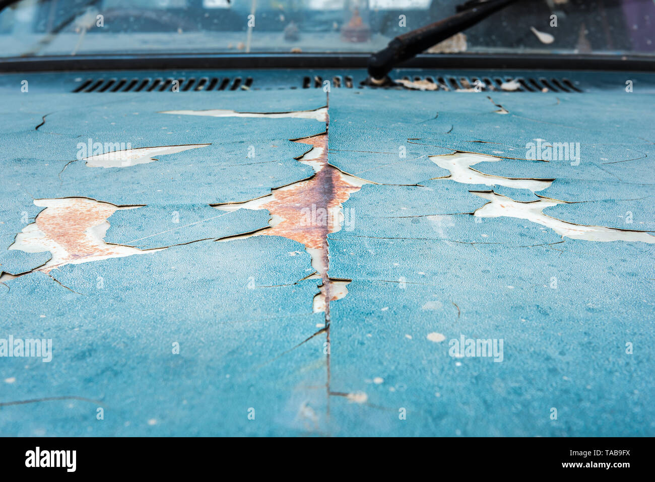 Body texture hi-res stock photography and images - Alamy