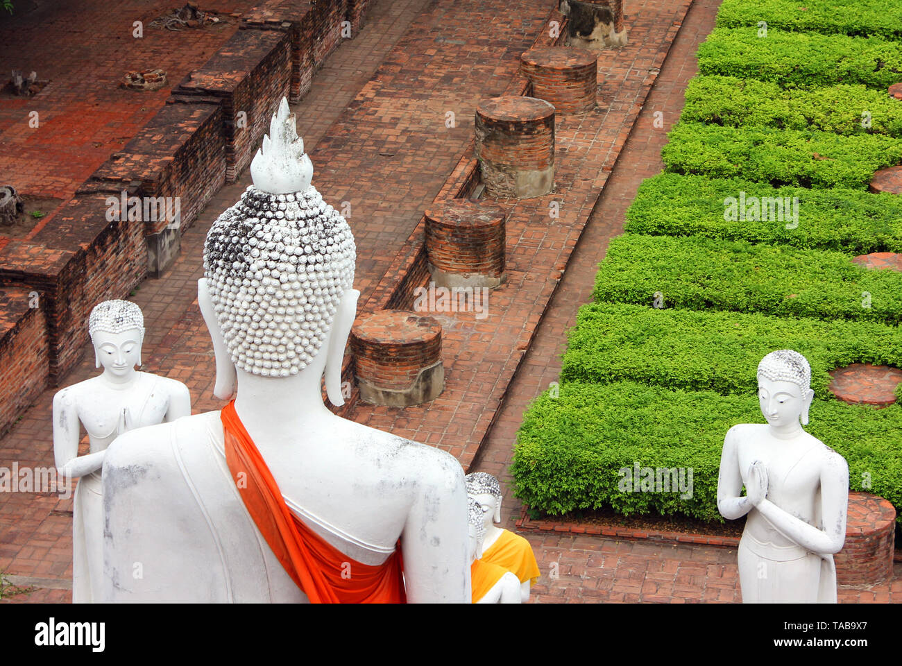 Buddha statues meditating and praying Stock Photo - Alamy