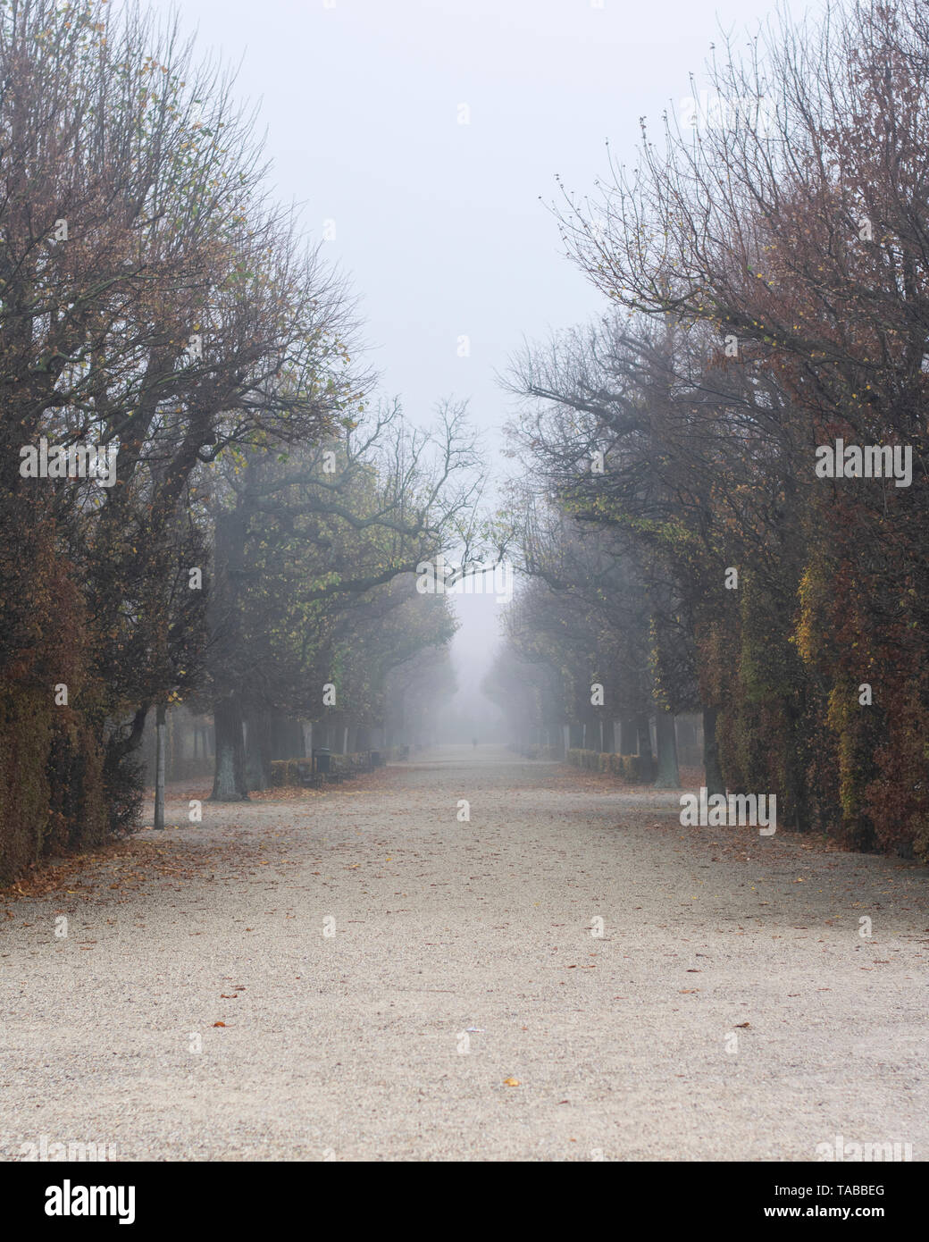 Clock museum vienna hi-res stock photography and images - Alamy