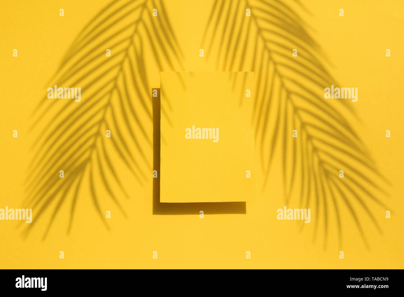 Tropical palm leaf shadow on a yellow blank label. Exotic summer ...