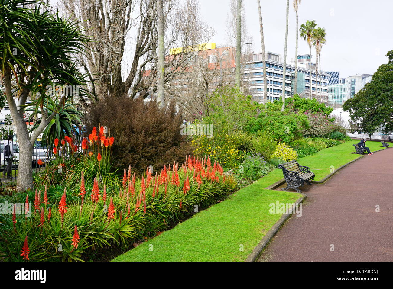 AUCKLAND, NEW ZEALAND -5 AUG 2018- View of the campus of the University ...