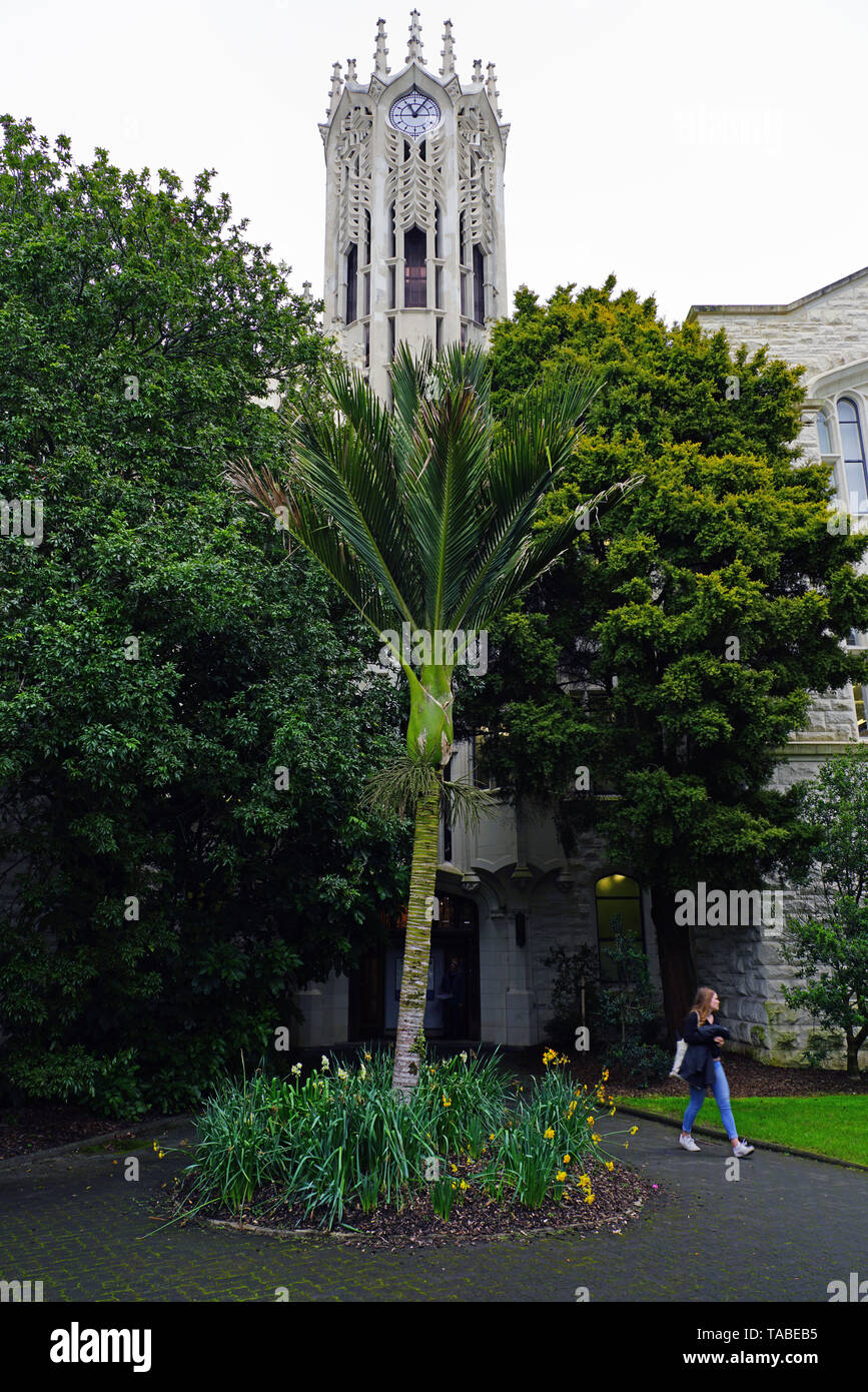 University auckland clock tower hi-res stock photography and images - Alamy